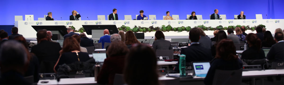 Shaping the global response to climate change - Shaping the world